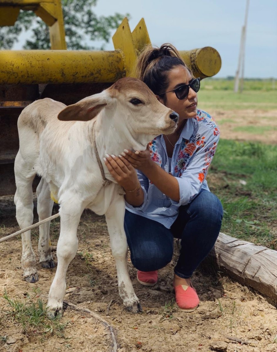 Cabaña, donde nace la genética animal. – Mujer al campo